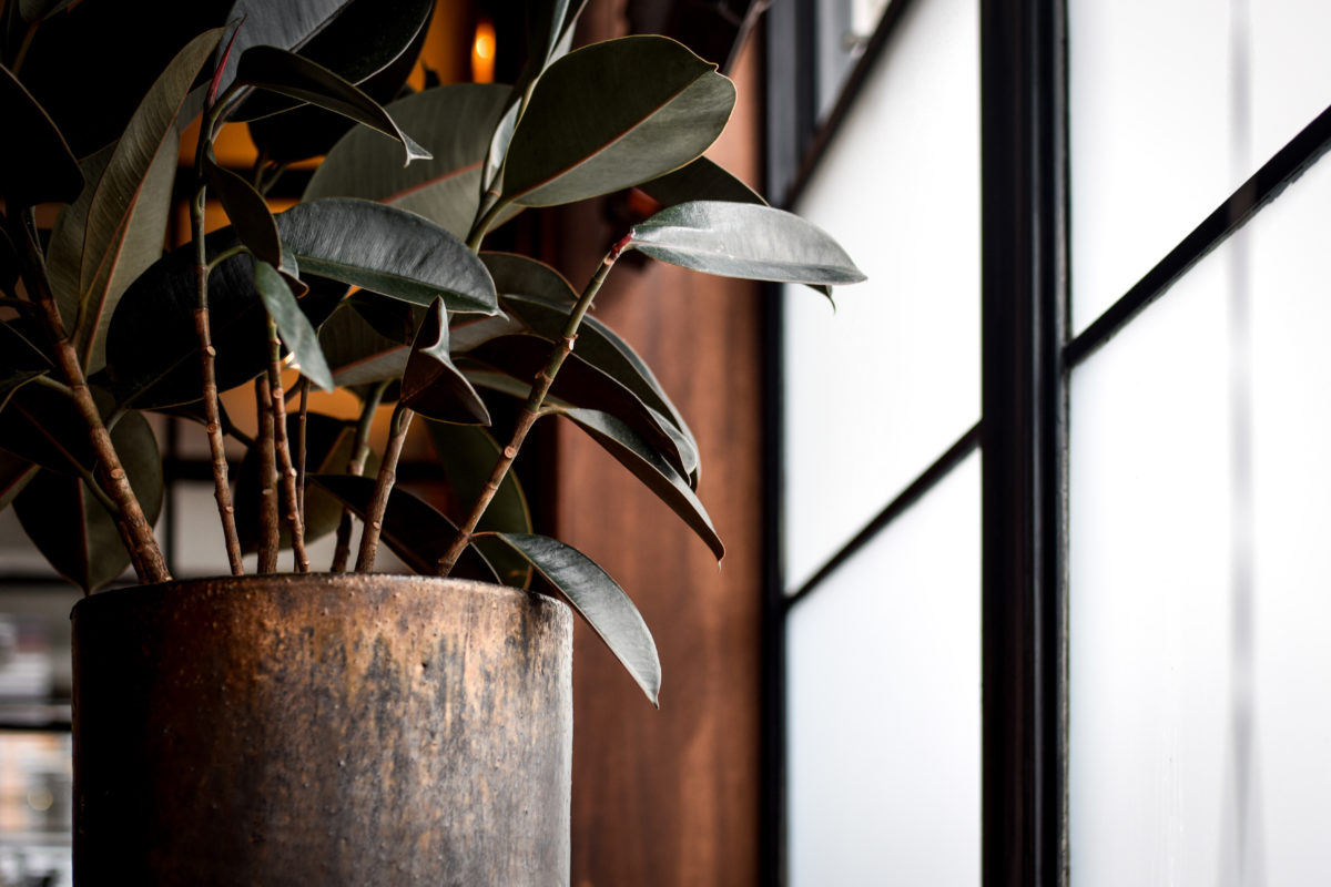 Honestly Austin: My Eberly Brunch Experience And Review - ThehonestShruth